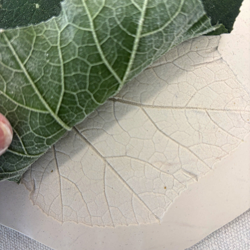 Large Leaf Platter with Ladybird – Helen Ashley Designs